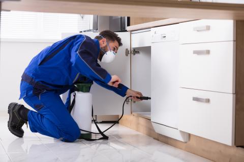 Pest Control Bakersfield | #1 Bakersfield Pest Control Company | PESTX