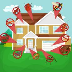 Pest Control Bakersfield | #1 Bakersfield Pest Control Company | PESTX